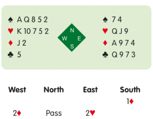 MICHAELS CUE BID – Bernard Magee Bridge