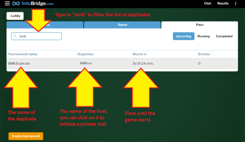 IntoBridge Homepage | Bernard Magee Bridge